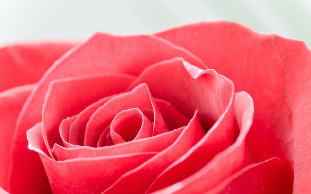 Create a Beautiful Login Form With Angular Material - DZone