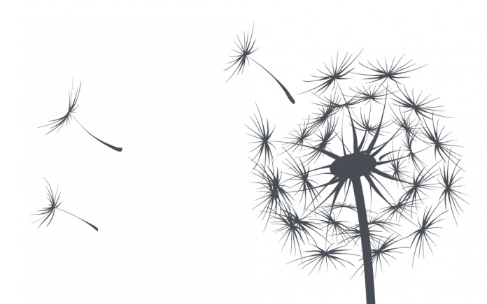 An Api Is A Promise — Interacting With Valuable Capabilities Dzone