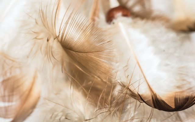 Building a REST API With Feathers.js and SQLite - DZone