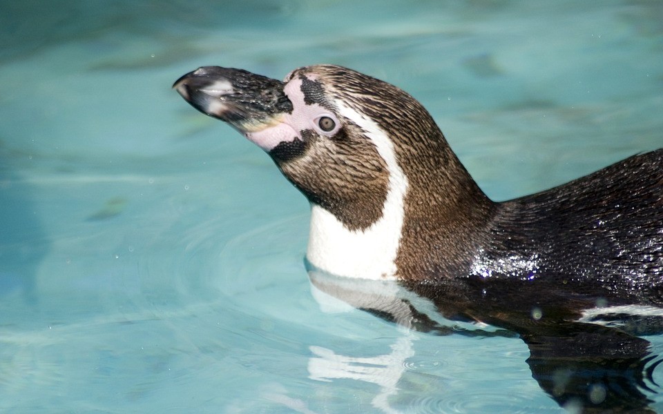 Parsing In Java Part 2 Diving Into CFG Parsers DZone Java