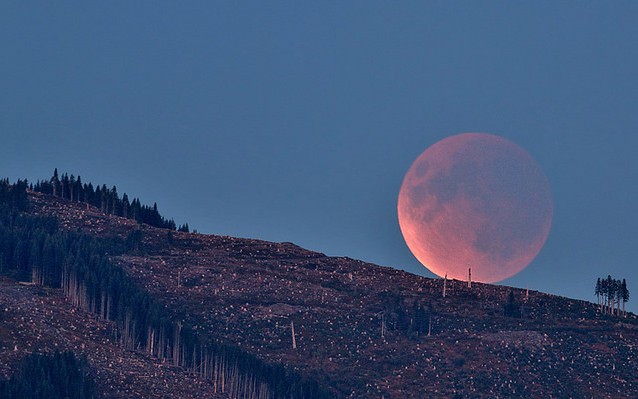 Eclipse Still The Best Ide Dzone Integration 2816